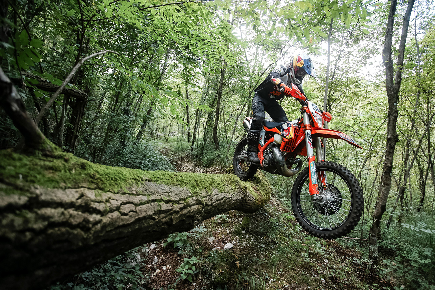 2020 Romaniacs: Owned by Austria! - Transmoto