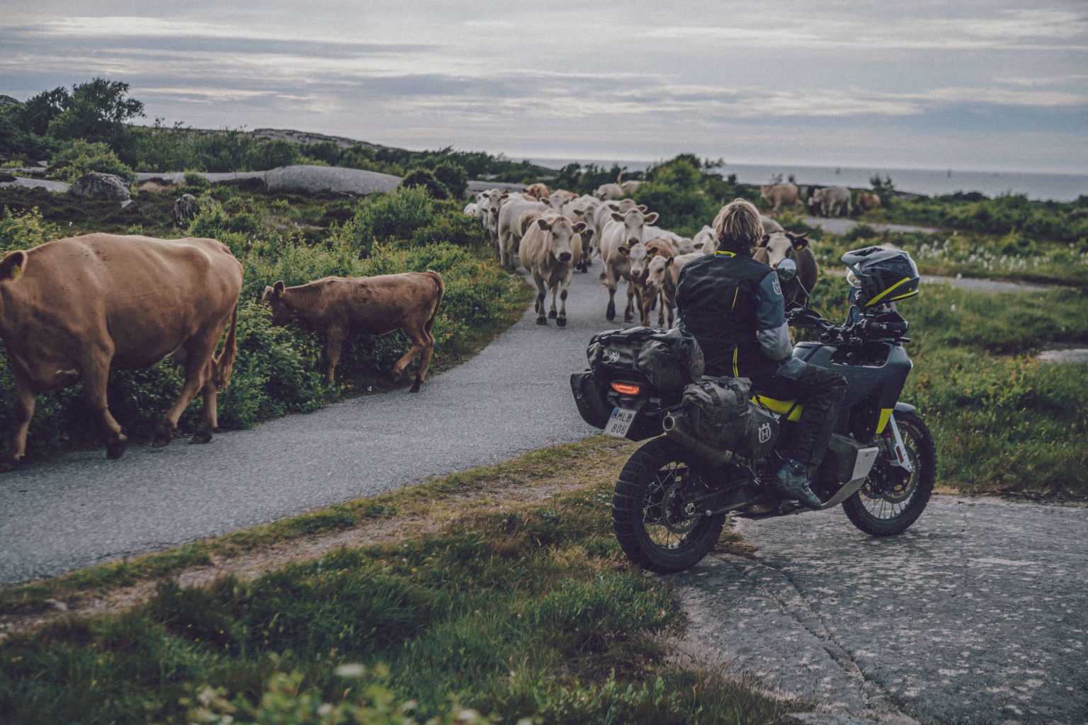 HUSKY NORDEN 901: FINALLY UNVEILED - Transmoto