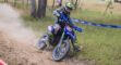 INTERVIEW: HARLEY HUTTON - Transmoto