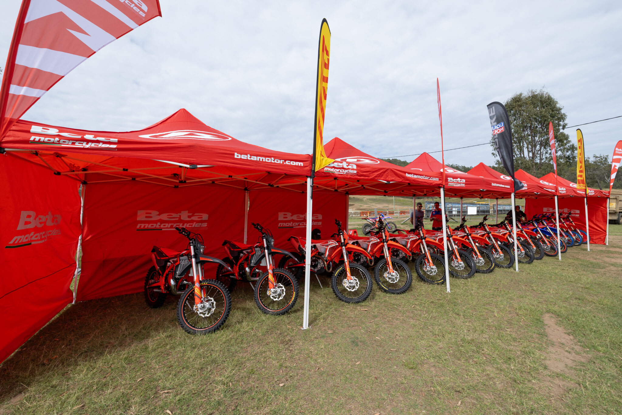 BETA’S 2025 MODEL RANGES: YOUR FAQS ANSWERED - Transmoto