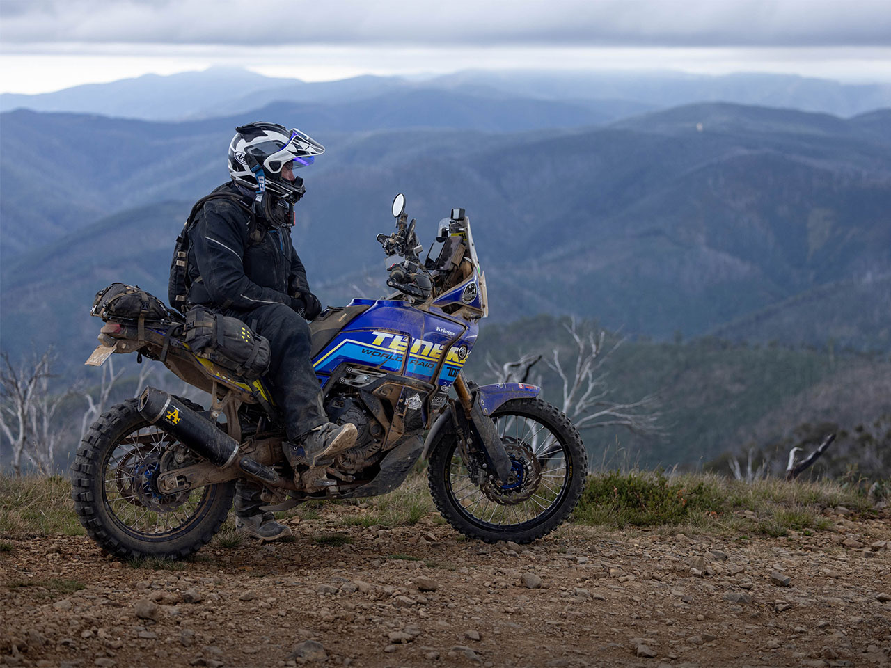 VIDEO: 2025 YAMAHA TÉNÉRÉ RALLY - Transmoto