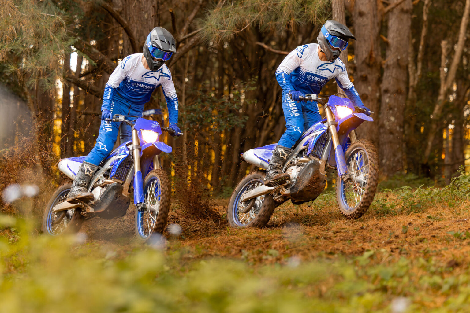 REVEALED: 2026 YAMAHA YZ-F & WR-F - Transmoto