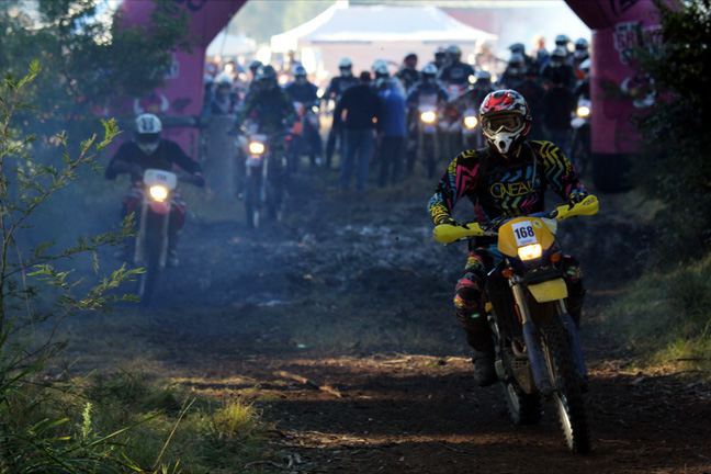 Apex Armageddon - Transmoto